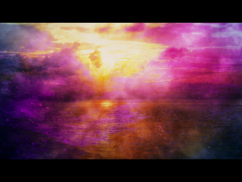 Vivid Nature Service Pack | Centerline New Media | Playback Media Store