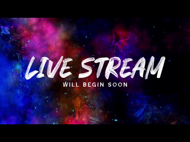 Vivid Light Live Stream | Centerline New Media | Playback Media Store