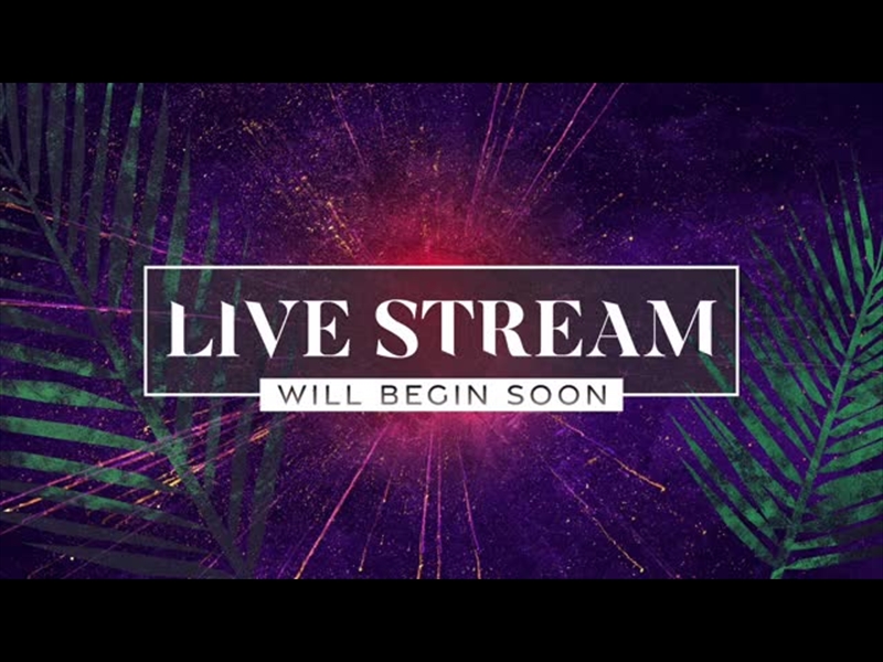 Vivid Palm Sunday Live Stream | Centerline New Media | WorshipHouse Media