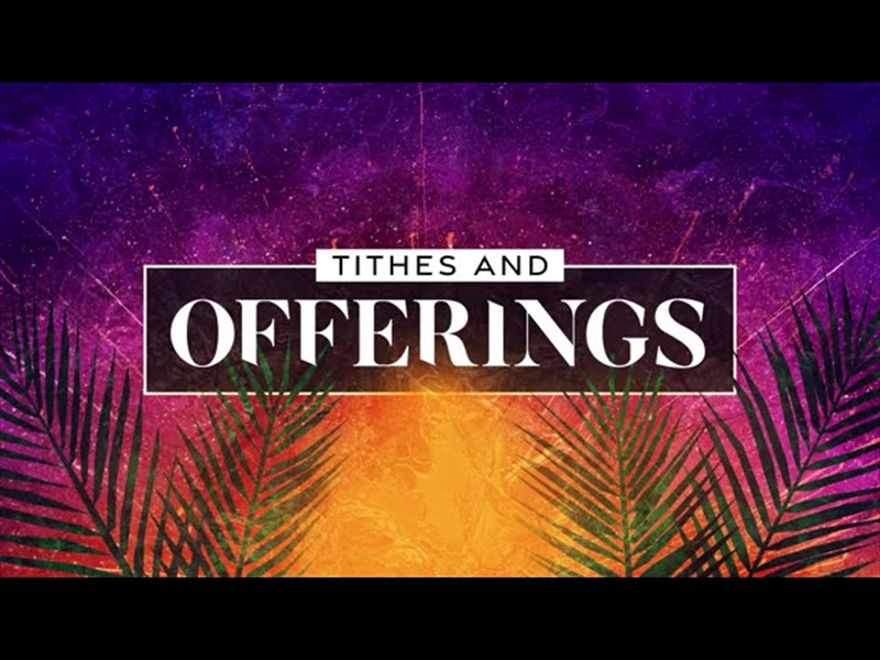 Vivid Palm Sunday Tithes And Offerings | Centerline New Media ...