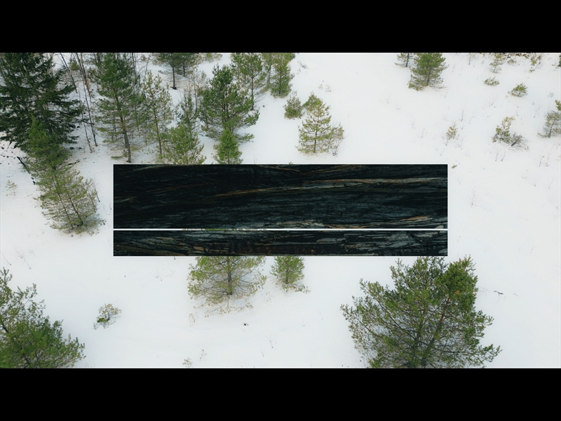 Winter Woods Blank Title 01 | Centerline New Media | Playback Media Store