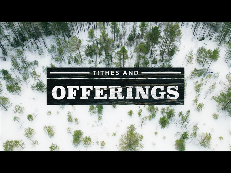 Winter Woods Tithes And Offerings | Centerline New Media | Playback ...