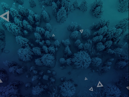 Pristine Snowy Forest Blue Triangles | Dan Stevers | WorshipHouse Media