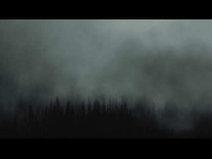 Rolling Fog Forest Plain | Dan Stevers | WorshipHouse Media