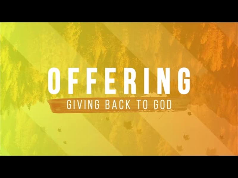 Gradient Leaves Offering Motion | Cody Duck | WorshipHouse Media