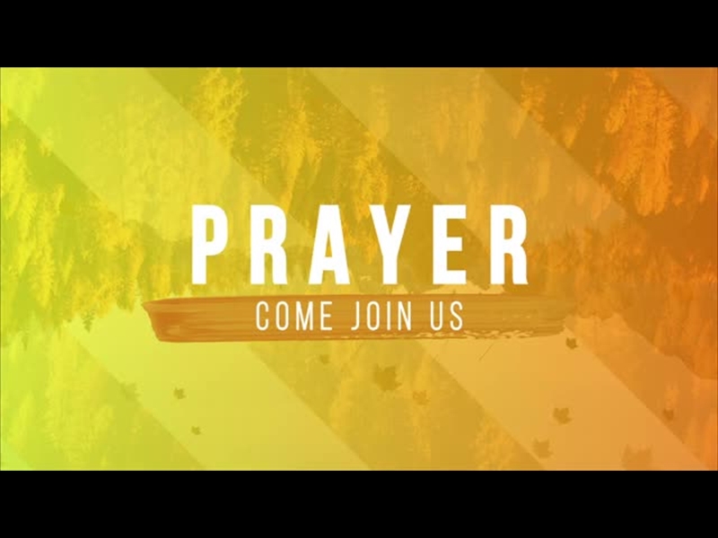 Gradient Leaves Prayer Motion | Cody Duck | WorshipHouse Media