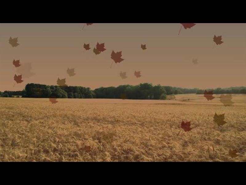 Harvest Motion Background 1 | Cody Duck | WorshipHouse Media