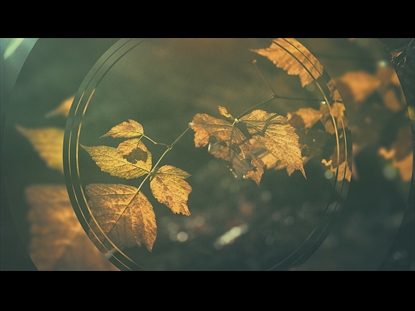 Restless Fall Service Pack | Freebridge Media | WorshipHouse Media