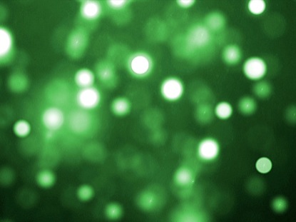 Green Gleam Motion Pack | Floodgate Productions | WorshipHouse Media