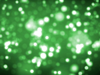 Green Gleam Motion Pack | Floodgate Productions | WorshipHouse Media