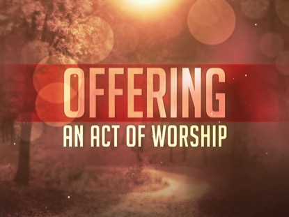 Fall Offering Loop Vol 4 | Hyper Pixels Media | Playback Media Store