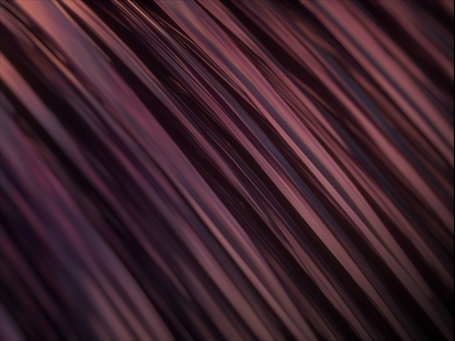 Nucleus 8 Loop | Hyper Pixels Media | WorshipHouse Media