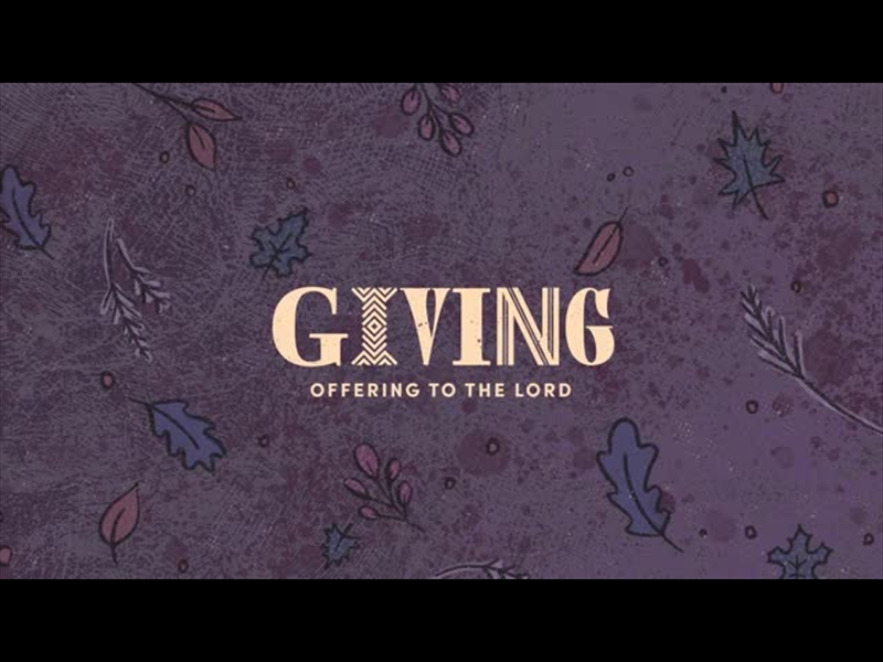 Festive Fall Giving | Igniter Media | WorshipHouse Media