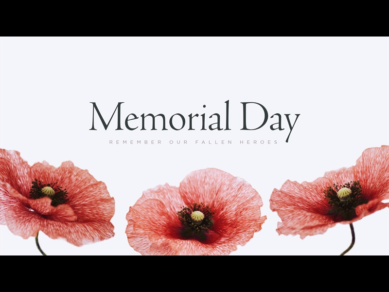 Patriotic Poppies: Memorial Day | Igniter Media | WorshipHouse Media