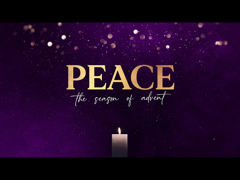 Advent Shimmer Peace | Life Scribe Media | WorshipHouse Media