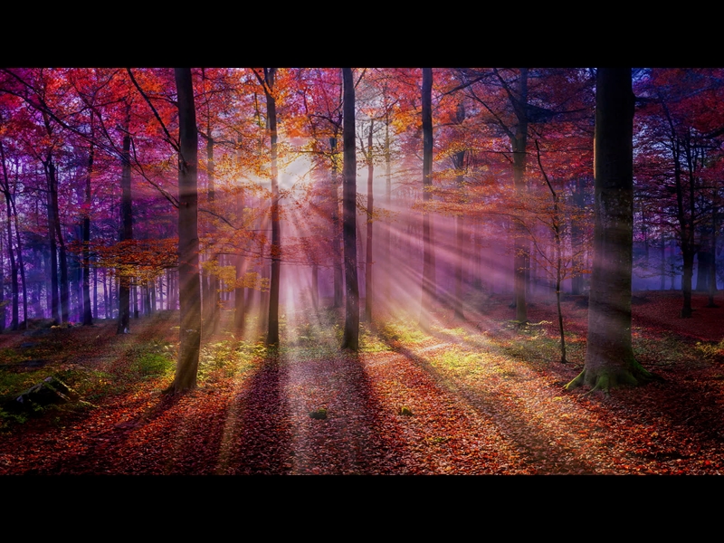 Trending Worship Backgrounds & Loops for Church | WorshipHouse Media