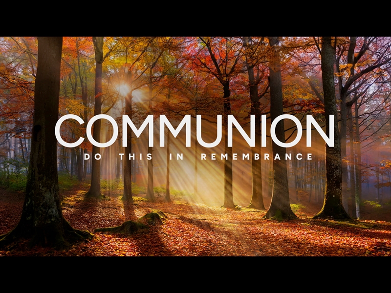Autumn Light Communion | Life Scribe Media | WorshipHouse Media
