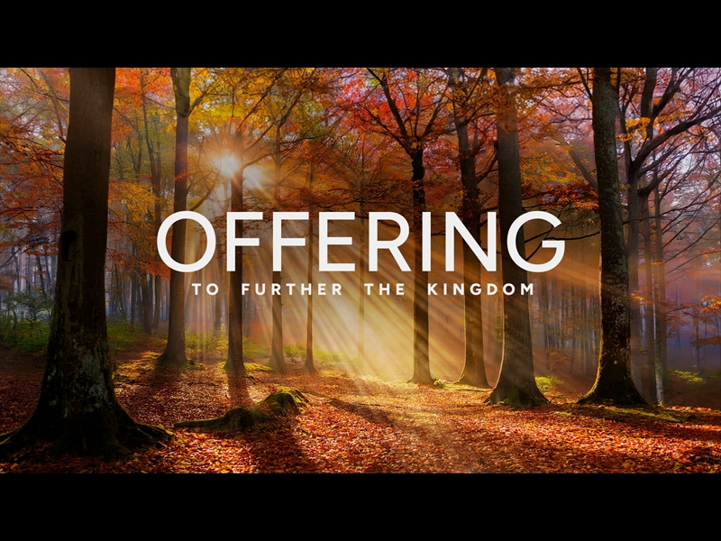 Autumn Light Offering | Life Scribe Media | WorshipHouse Media