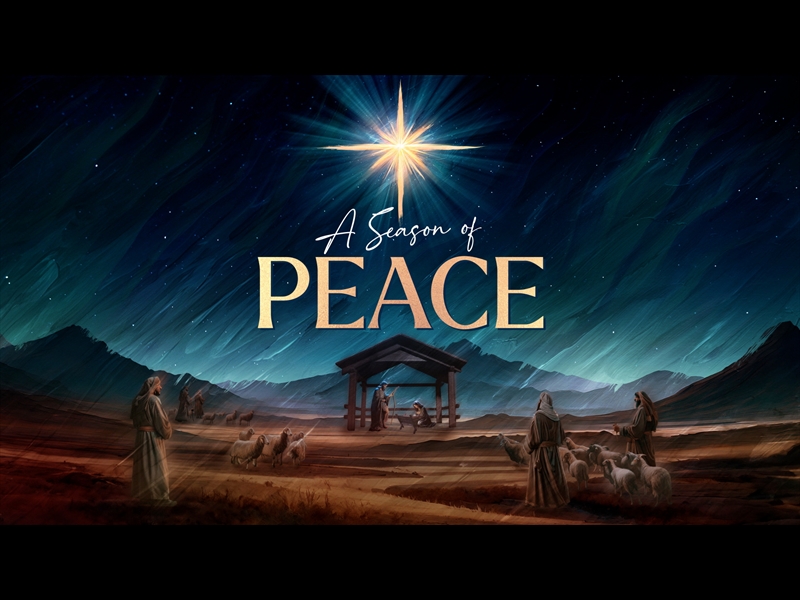 Christmas Story Peace | Life Scribe Media | WorshipHouse Media