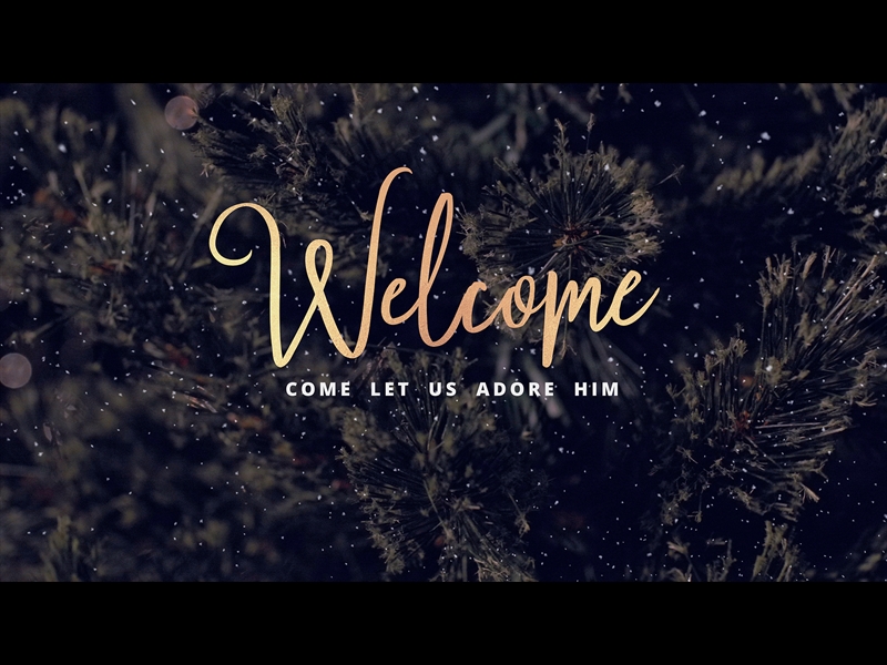 Christmas Tree Christmas Welcome | Life Scribe Media | WorshipHouse Media