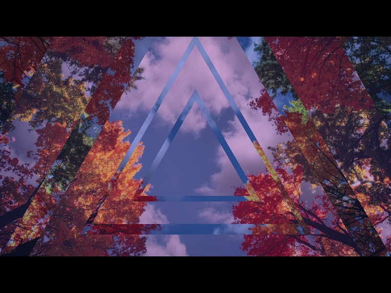 Fall Trees 6 Remix | Life Scribe Media | WorshipHouse Media