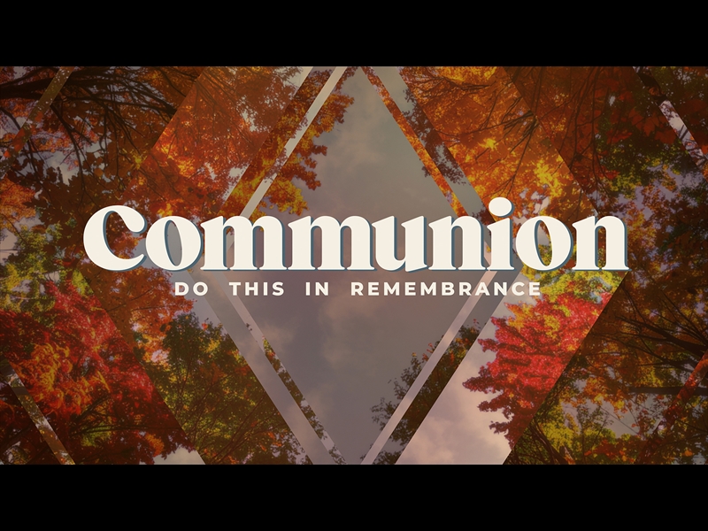 Fall Trees Communion | Life Scribe Media | WorshipHouse Media