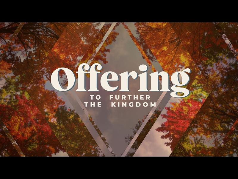 Fall Trees Offering | Life Scribe Media | WorshipHouse Media