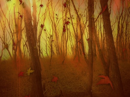 Fall Background 1 | Life Scribe Media | WorshipHouse Media