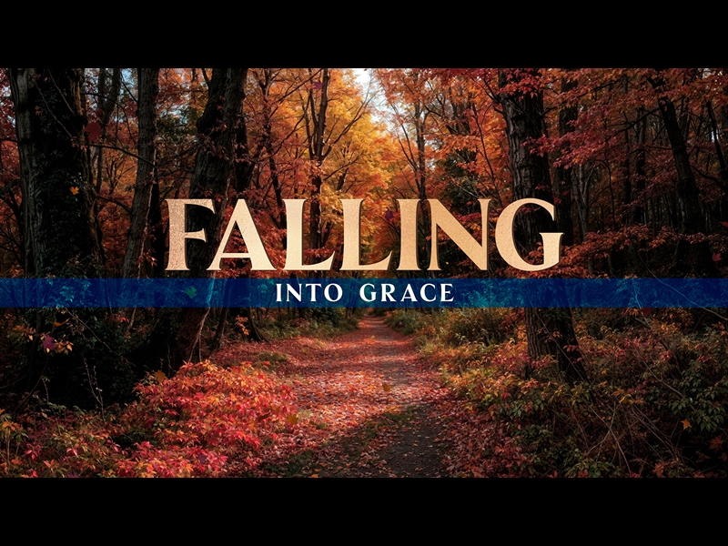 Forest Fall Falling Into Grace | Life Scribe Media | WorshipHouse Media