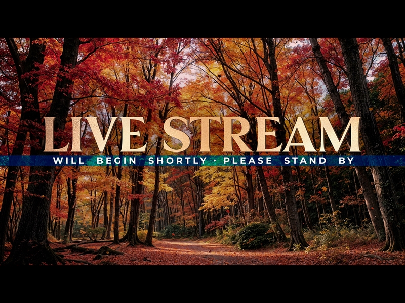 Forest Fall Live Stream | Life Scribe Media | WorshipHouse Media