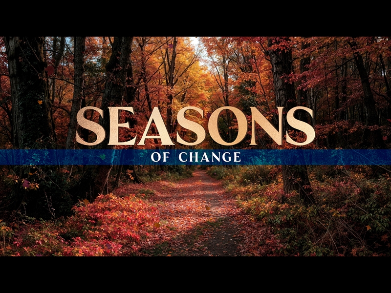 Forest Fall Seasons Of Change | Life Scribe Media | WorshipHouse Media