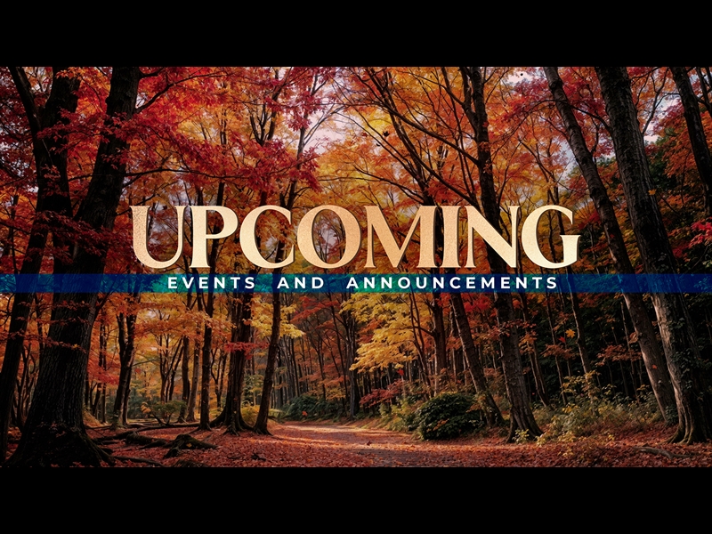 Forest Fall Upcoming | Life Scribe Media | WorshipHouse Media