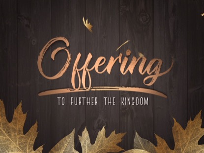 Golden Leaves Offering | Life Scribe Media | WorshipHouse Media
