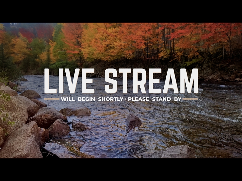 Northwest Fall Live Stream | Life Scribe Media | WorshipHouse Media