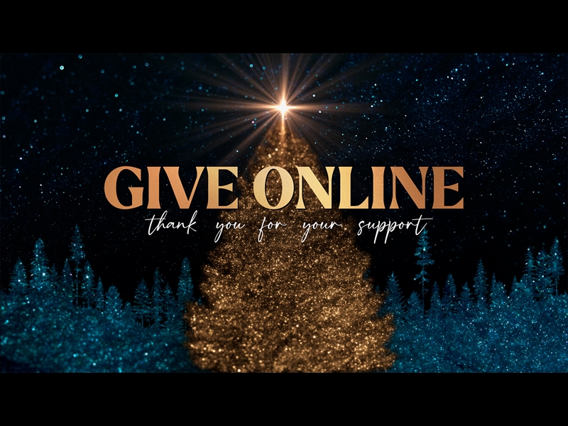 Sparkling Christmas Give Online | Life Scribe Media | WorshipHouse Media