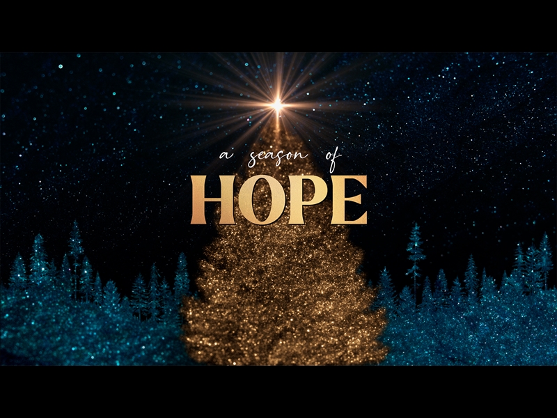 Sparkling Christmas Hope | Life Scribe Media | WorshipHouse Media