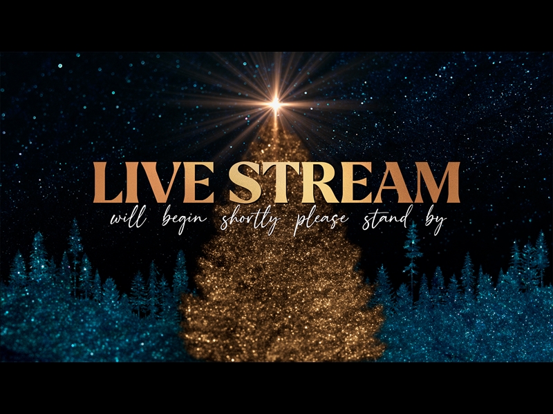 Sparkling Christmas Collection | Life Scribe Media | WorshipHouse Media