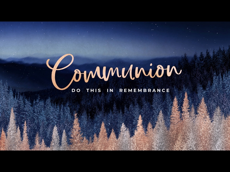 Sparkling Trees Communion | Life Scribe Media | WorshipHouse Media