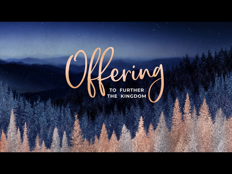 Sparkling Trees Offering | Life Scribe Media | WorshipHouse Media