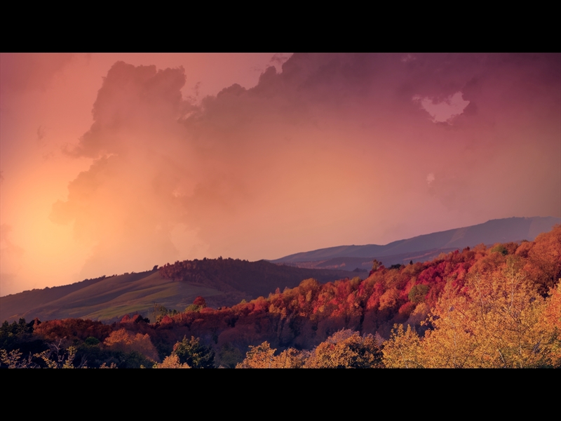 Wilderness Fall 3 | Life Scribe Media | WorshipHouse Media