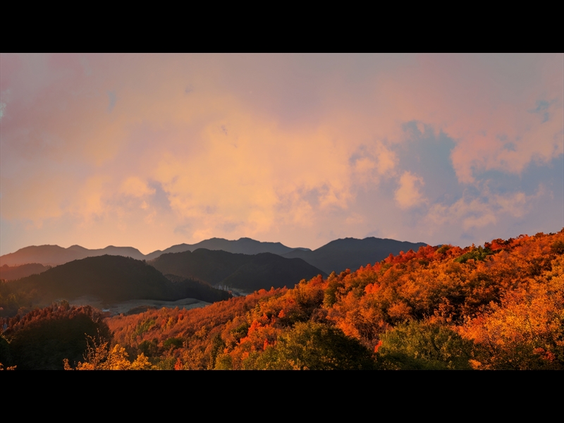 Wilderness Fall 7 | Life Scribe Media | WorshipHouse Media