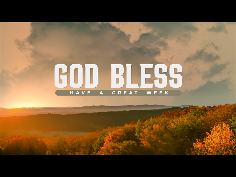 Wilderness Fall Close | Life Scribe Media | WorshipHouse Media