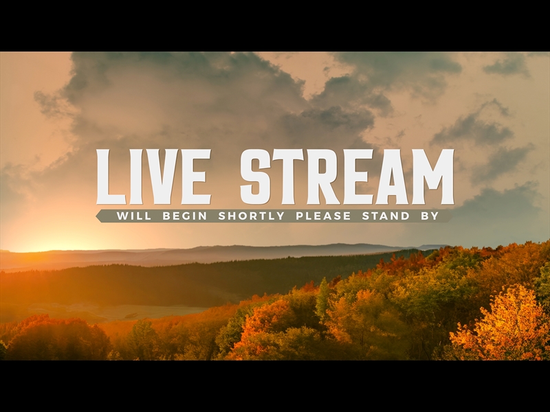 Wilderness Fall Live Stream | Life Scribe Media | WorshipHouse Media