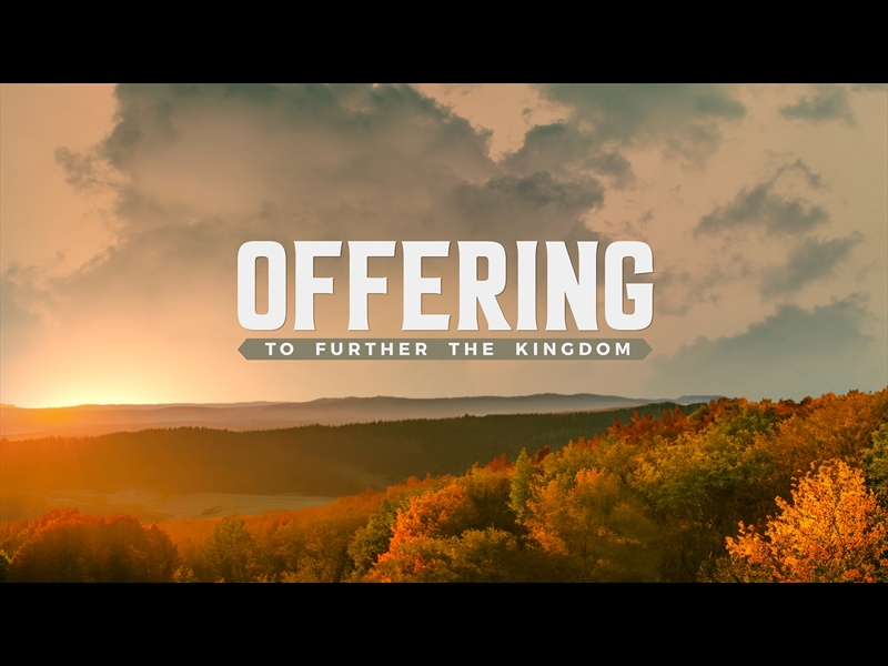 Wilderness Fall Offering | Life Scribe Media | WorshipHouse Media