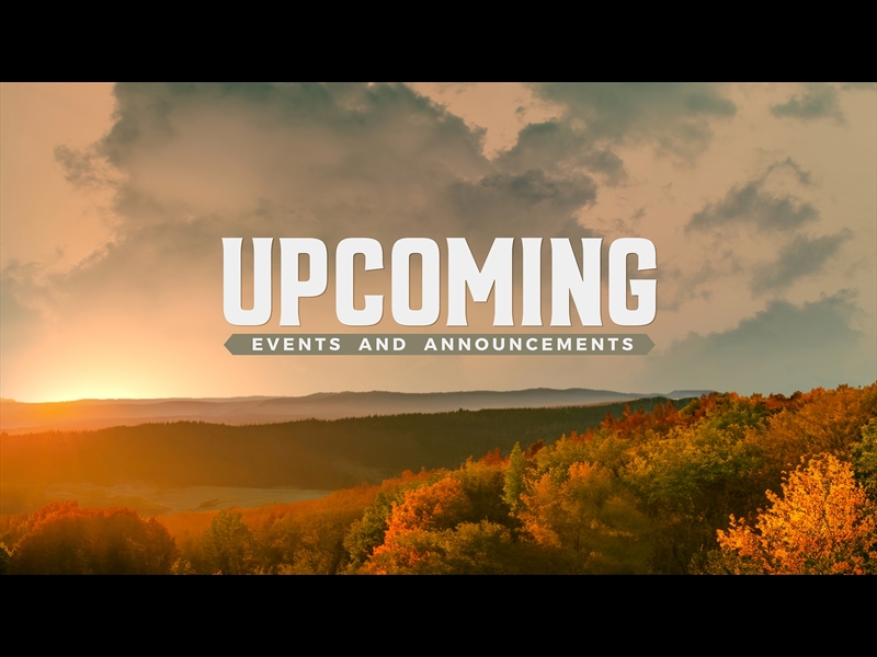 Wilderness Fall Upcoming | Life Scribe Media | WorshipHouse Media