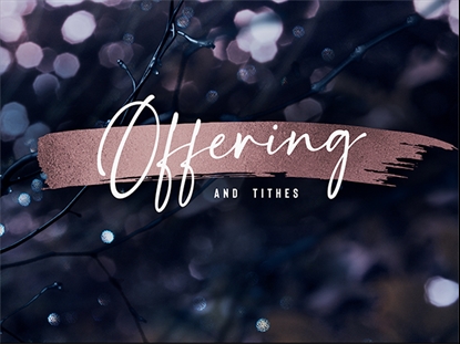 Winter Frost Offering | Life Scribe Media | WorshipHouse Media