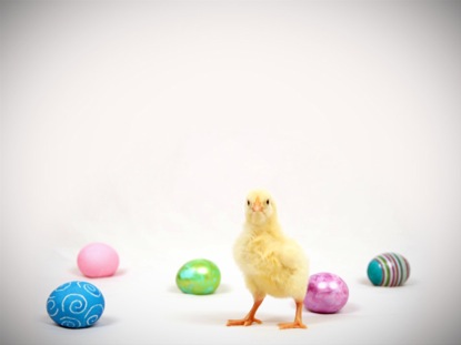 Baby Chick Easter Eggs | Motion Worship | WorshipHouse Media