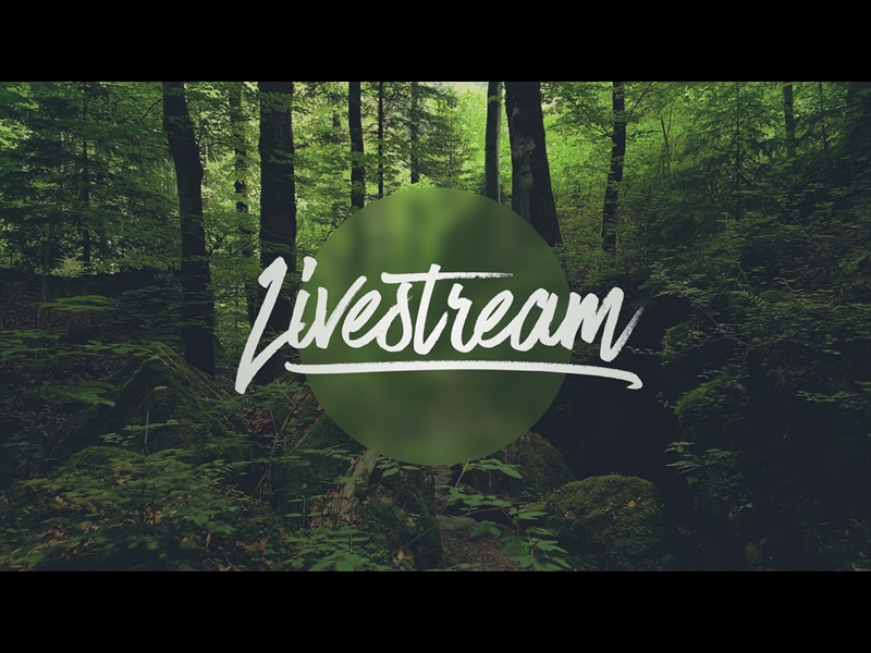 Deep Forest Collection | Motion Worship | WorshipHouse Media