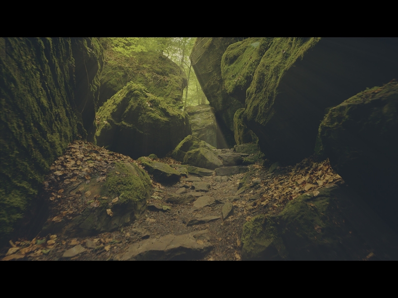 Deep Forest Rocky Ravine | Motion Worship | WorshipHouse Media