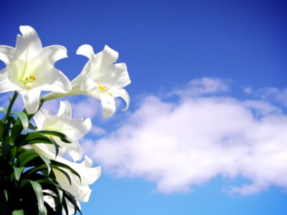 Easter Lily Sky Clouds | Motion Worship | WorshipHouse Media